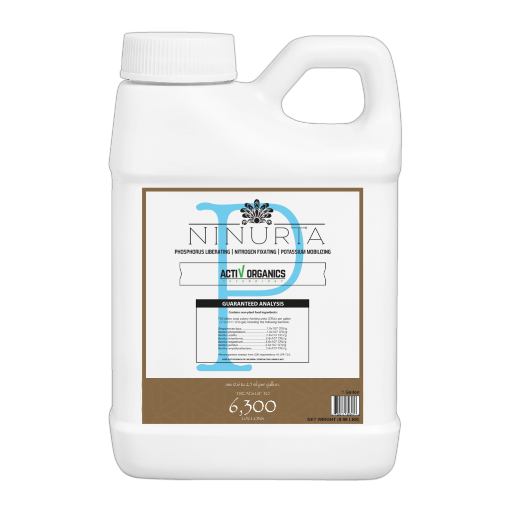 NINURTA.AG – TOP SHELF TECHNOLOGY FAIRLY PRICED