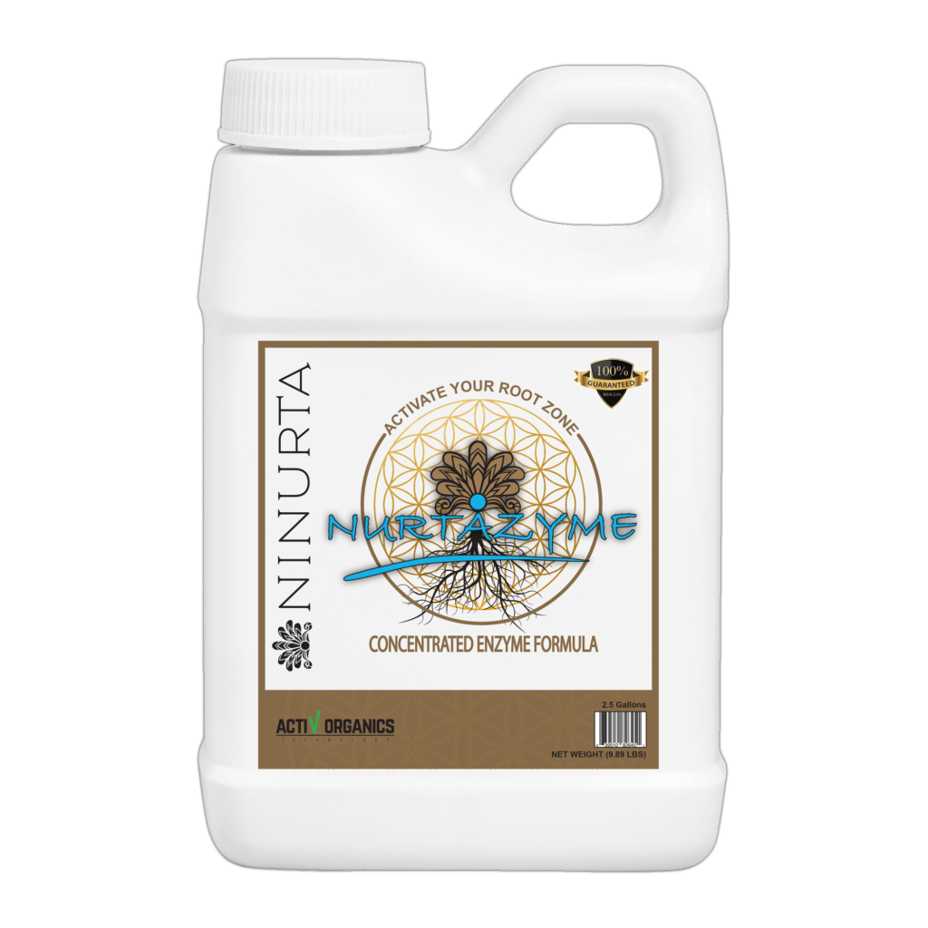 NINURTA.AG – TOP SHELF TECHNOLOGY FAIRLY PRICED